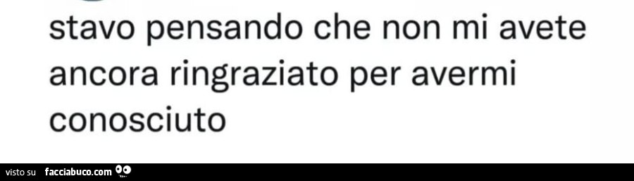 Stavo pensando che non mi avete ancora ringraziato per avermi ...