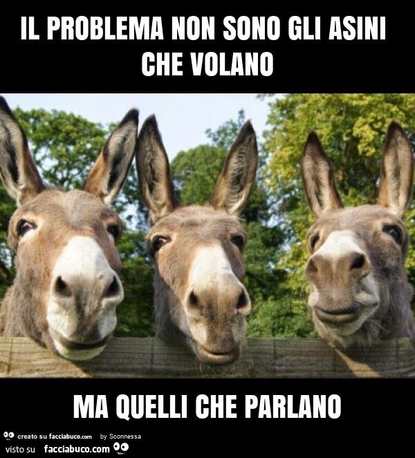 Il problema non sono gli asini che volano ma quelli che parlano ... Il problema non sono gli asini che volano ma quelli che parlano ...