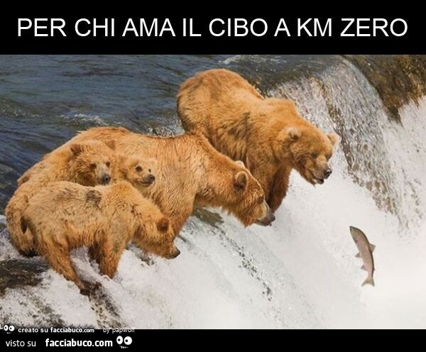 Per chi ama il cibo a km zero - Facciabuco.com