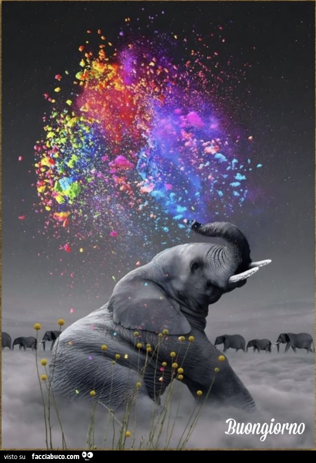 Ladies and gentlemen buongiorno...???? Happy weekend!!… - Facciabuco.com