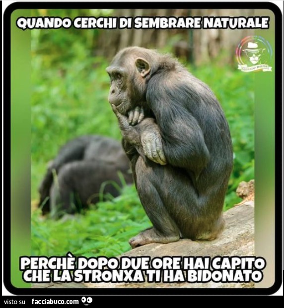 Tutti i meme sulle Scimmie - Facciabuco.com