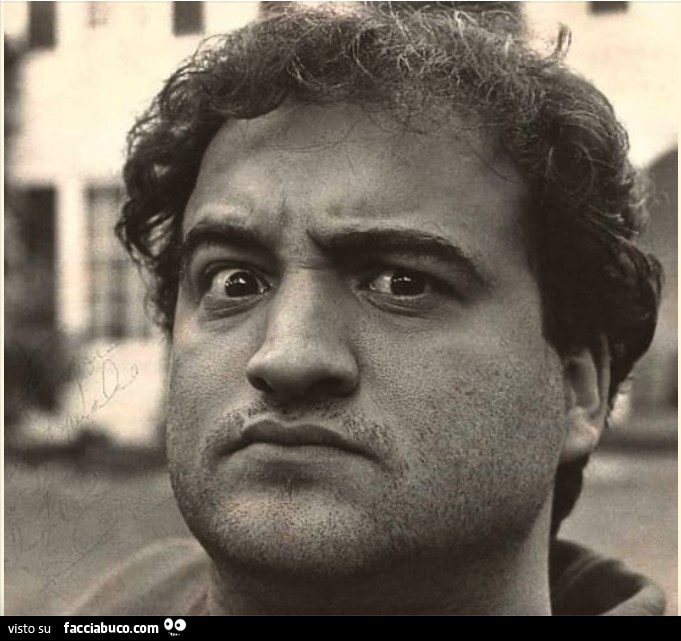 40 anni fa ci lasciava all'età di 33 anni, John cazzoduro Belushi ...