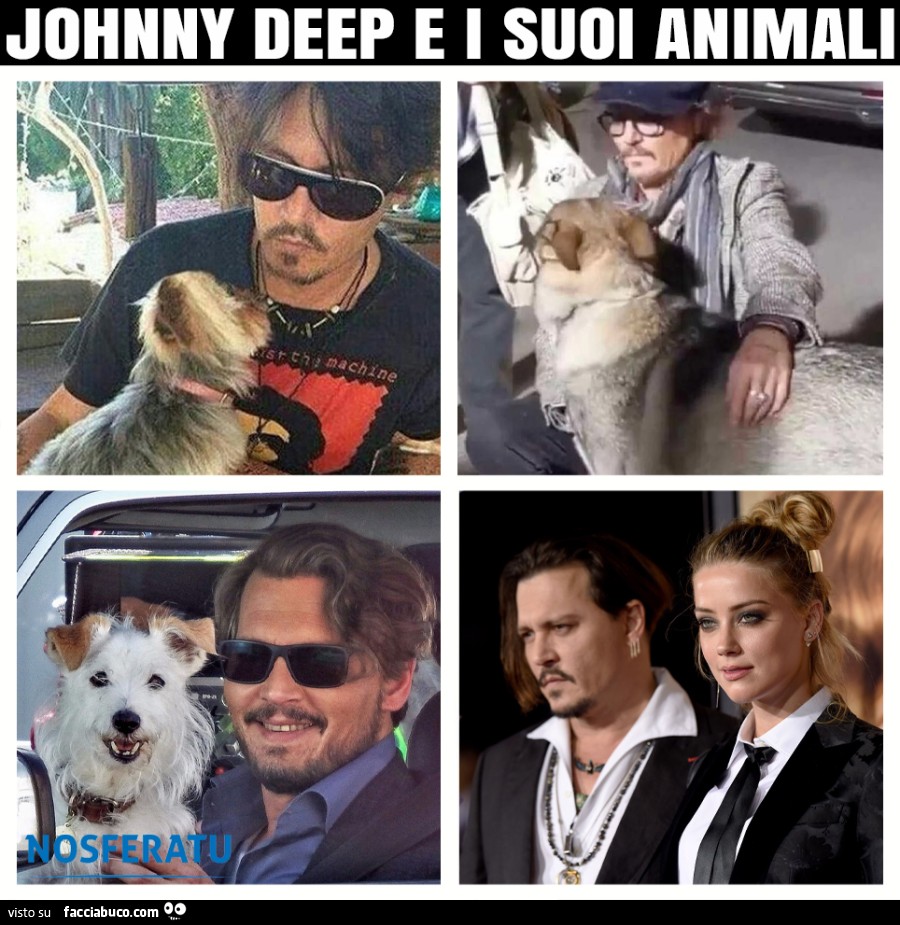 Johnny Deep e i suoi animali - Johnny Depp and his animals - Facciabuco.com