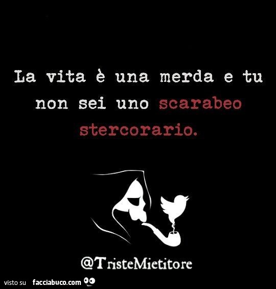La vita è una merda e tu non sei uno scarabeo stercorario - Facciabuco.com