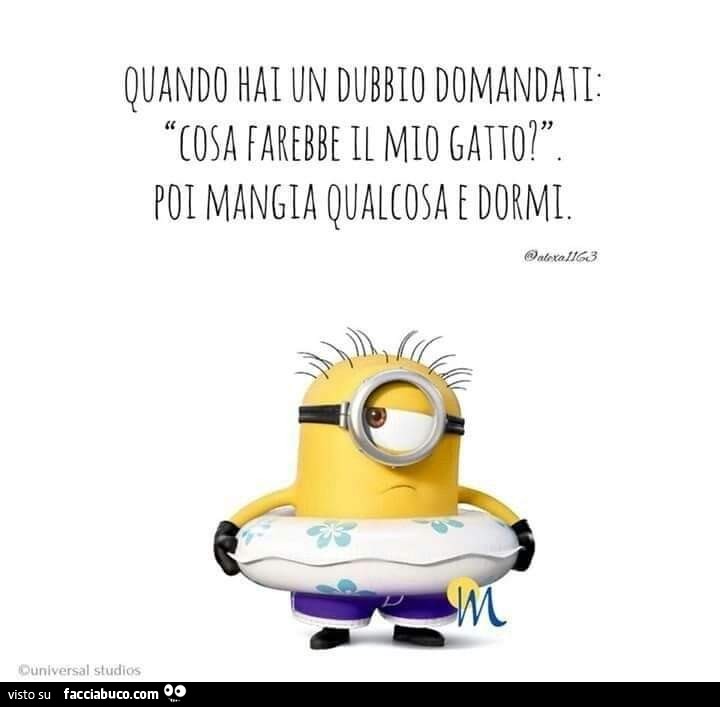 Tutti i meme su Minions - Facciabuco.com