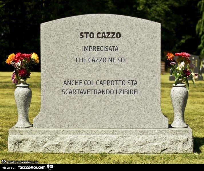 Sto cazzo. anche col cappotto sta scartavetrando i zibidei - Facciabuco.com