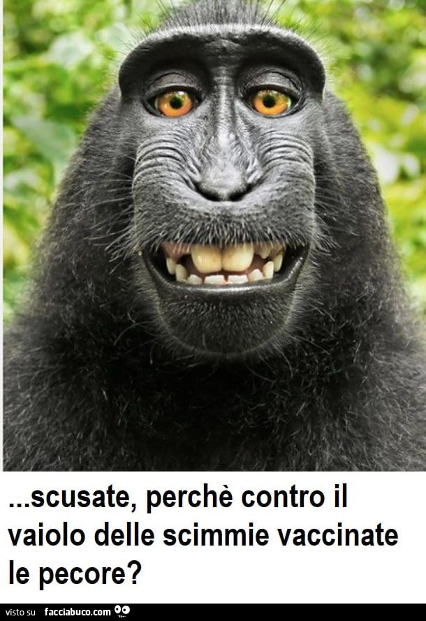 Domandare e lecito... Rispondere e Cortesia....? Buona Serata ...