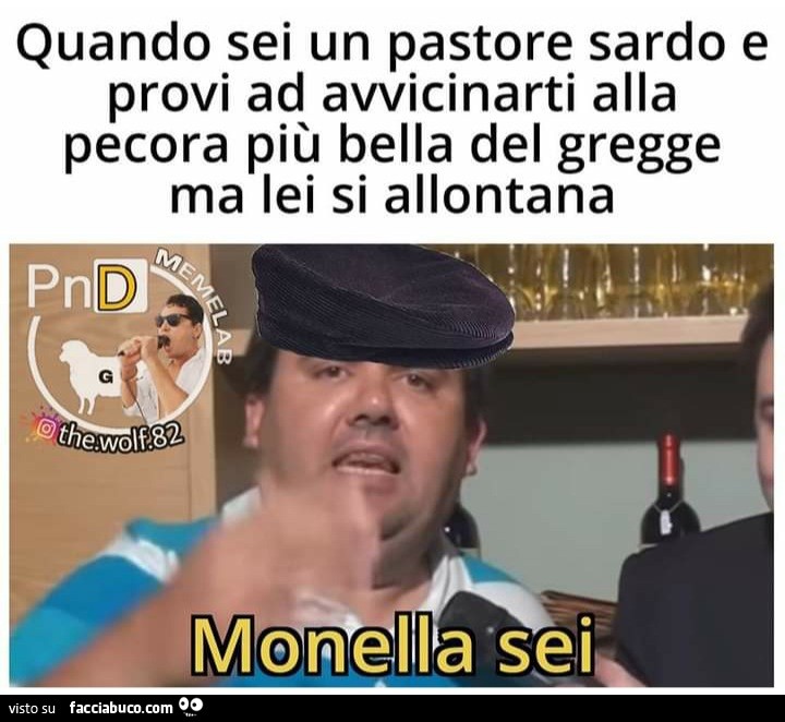 Quando sei un pastore sardo e provi ad avvicinarti alla pecora ...
