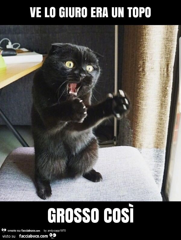 Ve lo giuro era un topo grosso così - Facciabuco.com