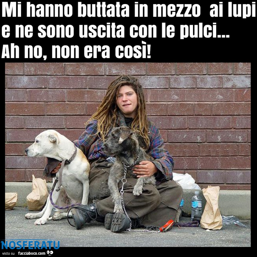 Mi hanno buttata in mezzo ai lupi - Facciabuco.com