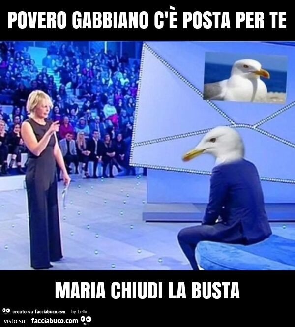 Tutti i meme su Maria De Filippi - Facciabuco.com