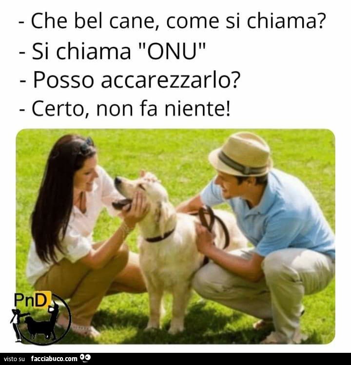 Che bel cane come si chiama si chiama onu - Facciabuco.com