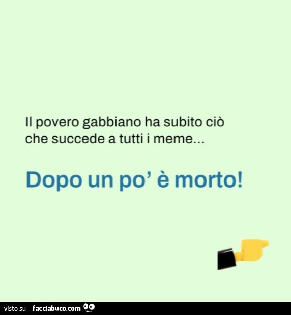 Il povero gabbiano ha subito ciò che succede a tutti i meme… dopo un po ...