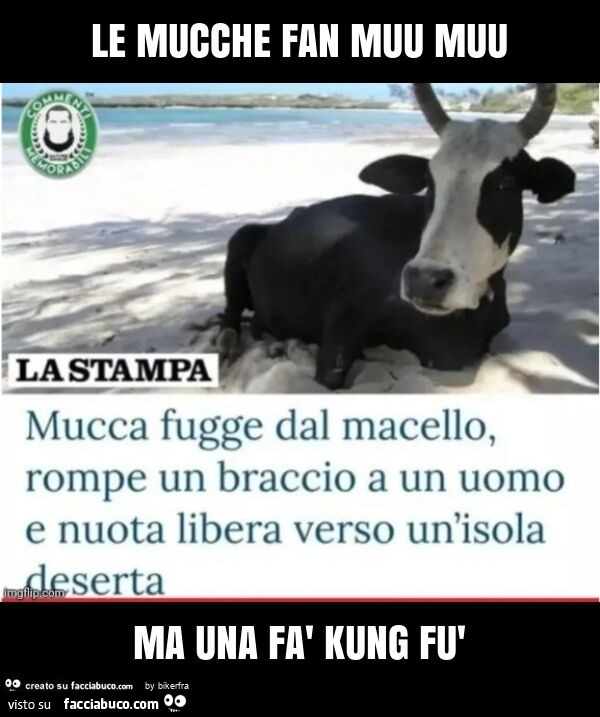 Le mucche fan muu muu ma una fà kung fù - Facciabuco.com