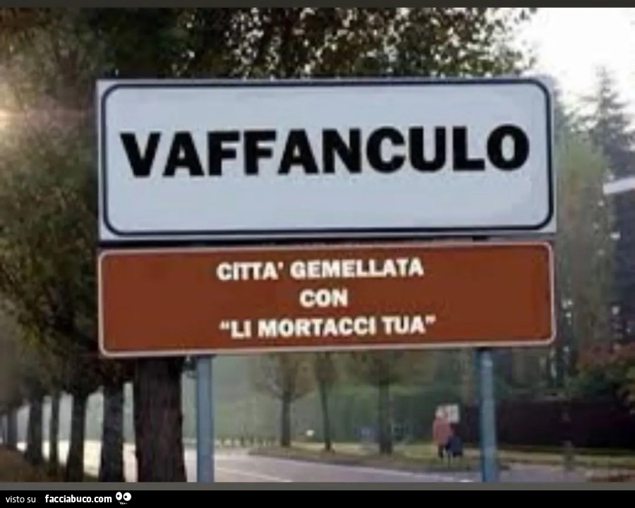 Tutti i meme sul Vaffanculo - Facciabuco.com